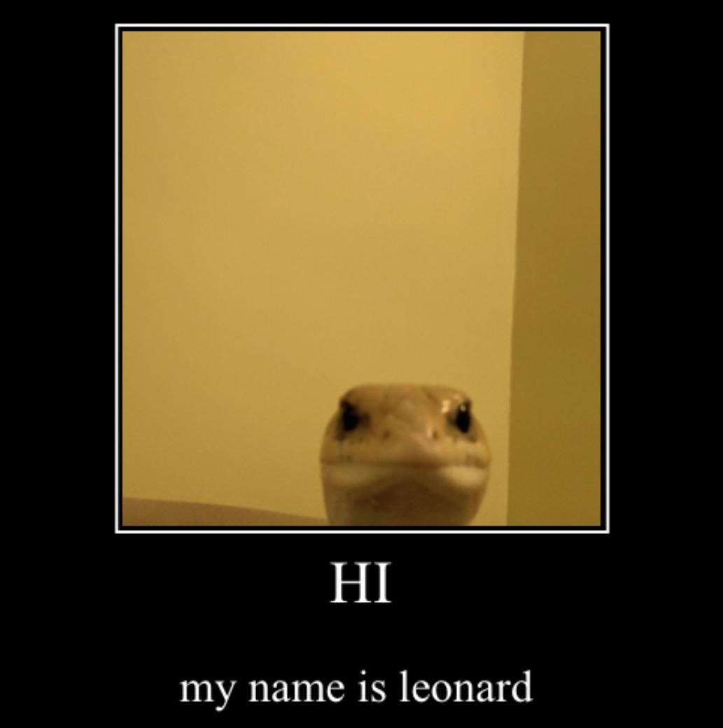Leonardo the Lizard - Lizard Prince